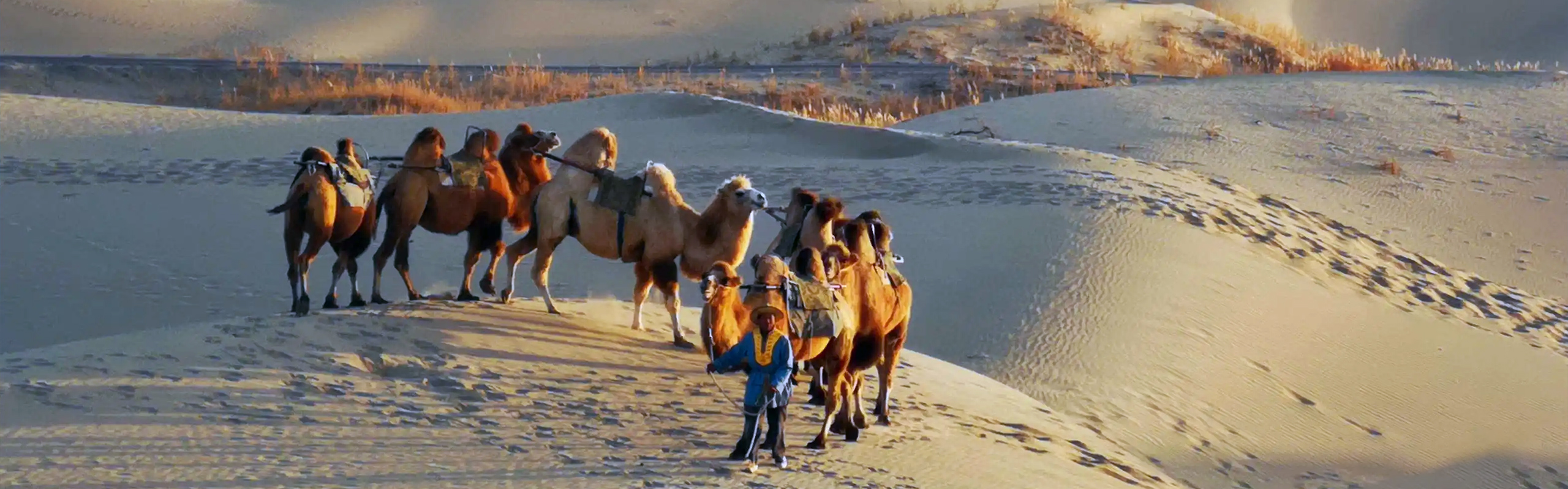 18 Days China Silk Road UNESCO Heritage Adventure Tour