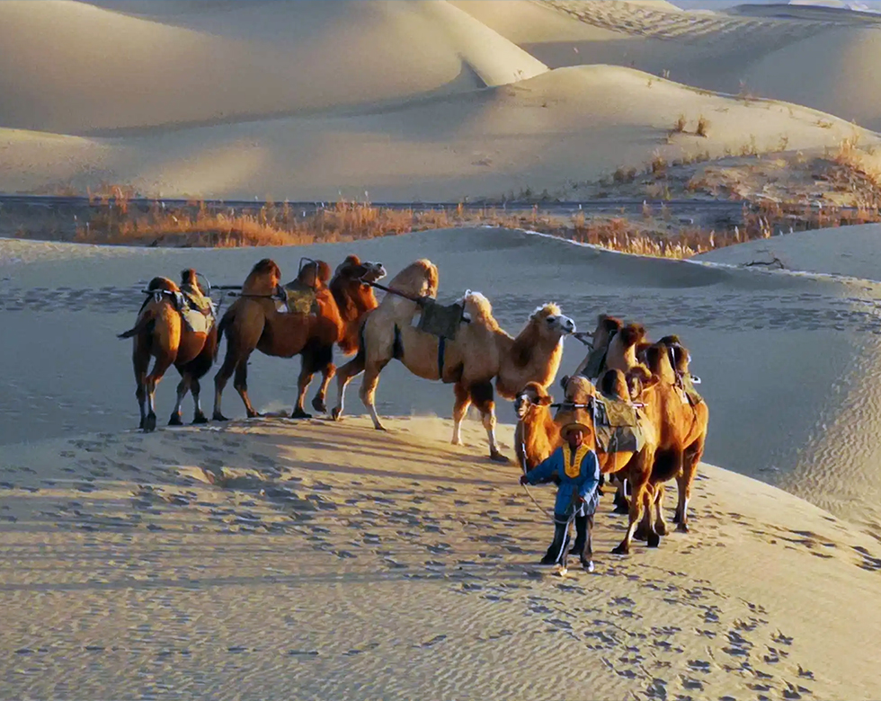 18 Days China Silk Road UNESCO Heritage Adventure Tour