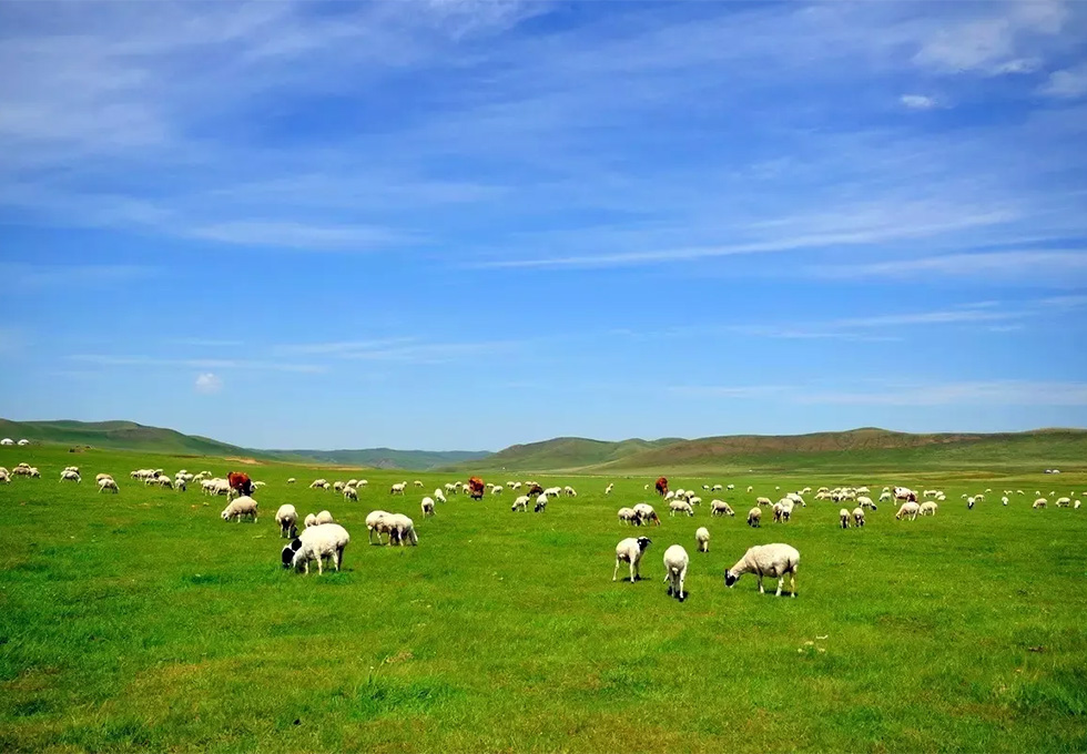 Top Inner Mongolia attractions and best sightseeing